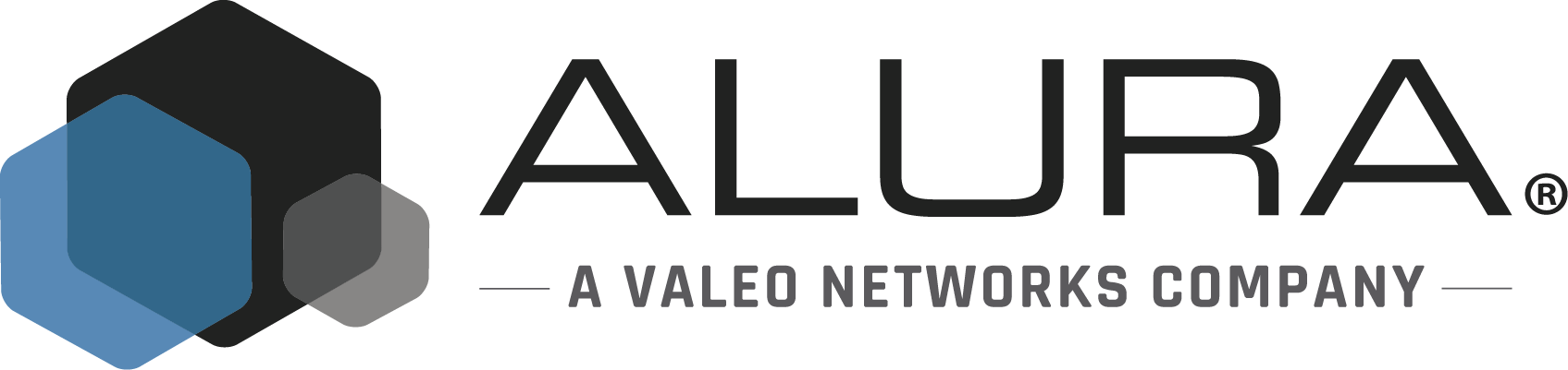 Alura | Client Portal, Remote Support, Pay Online | 24/7/365 ...